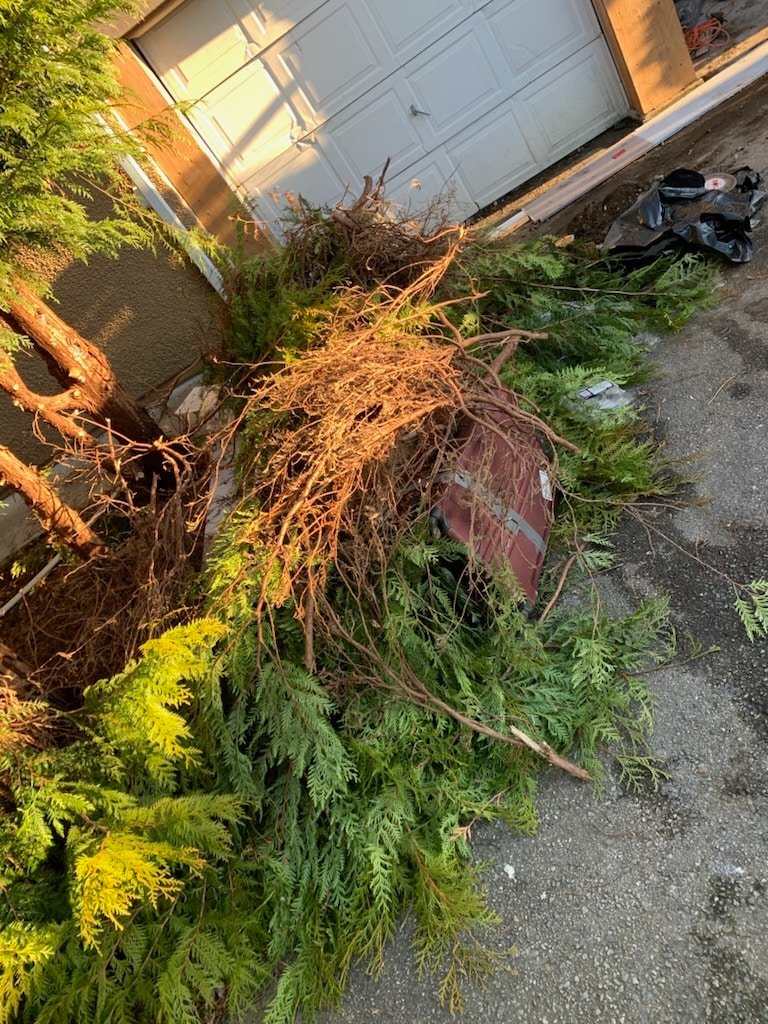 Yard Waste Removal Vancouver - Trash Bandits™